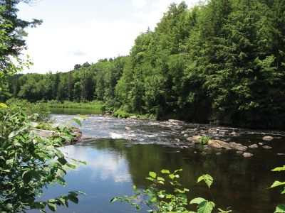 Finch Paper details its environmental responsible paper-making mill and ...