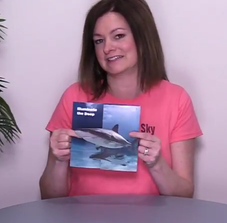 Shark-Themed Accordion Mailer: 60-Second Fold of the Week
