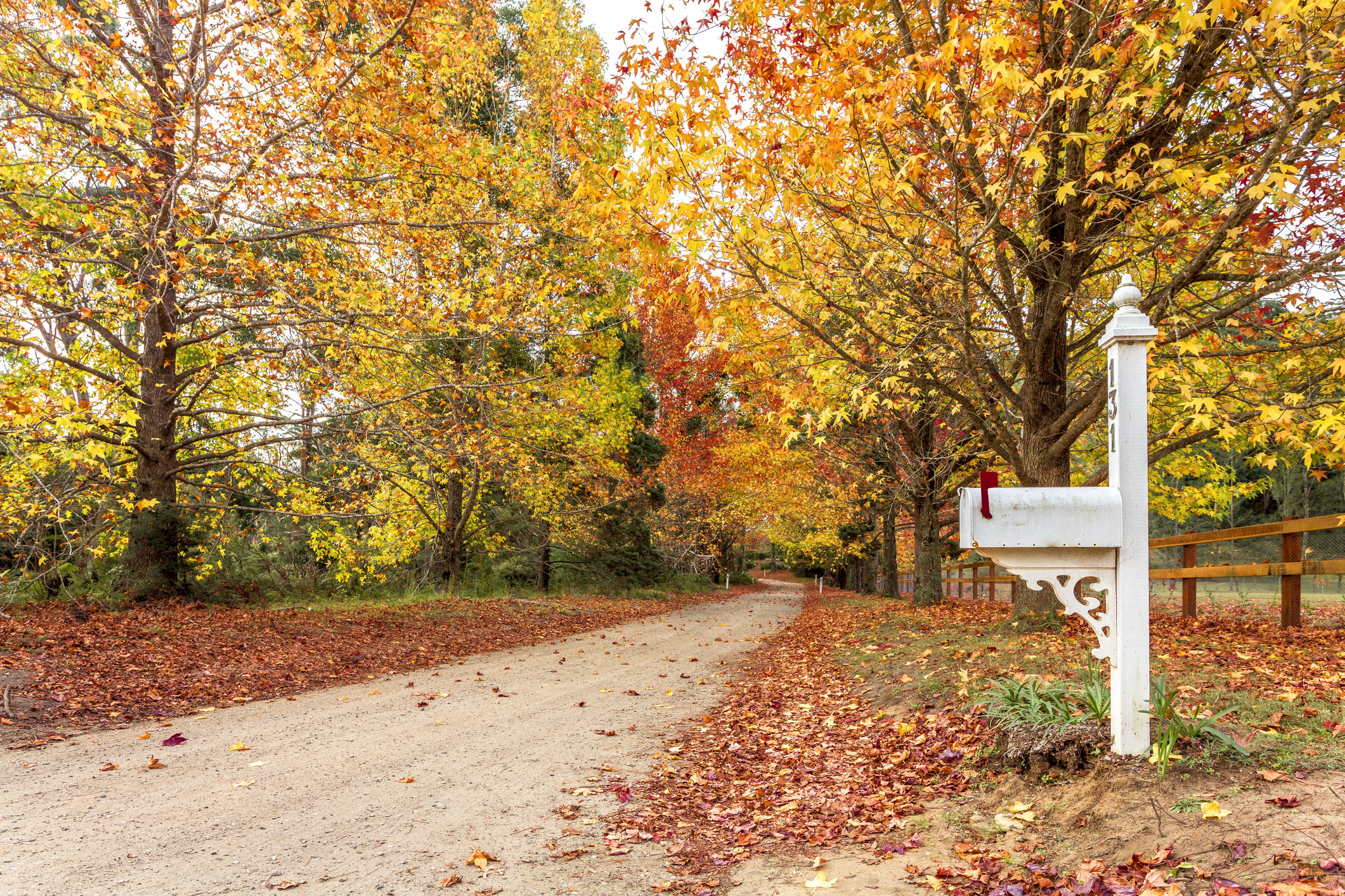 Creative Direct Mail Strategies for Fall