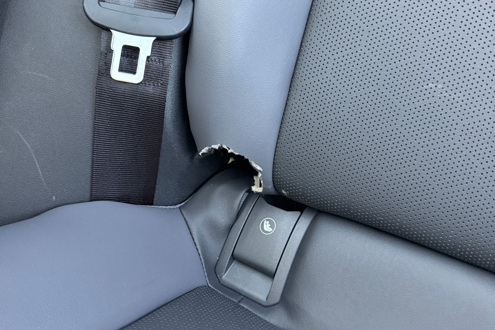 Sales Lessons From the Mouse That Ate My Car